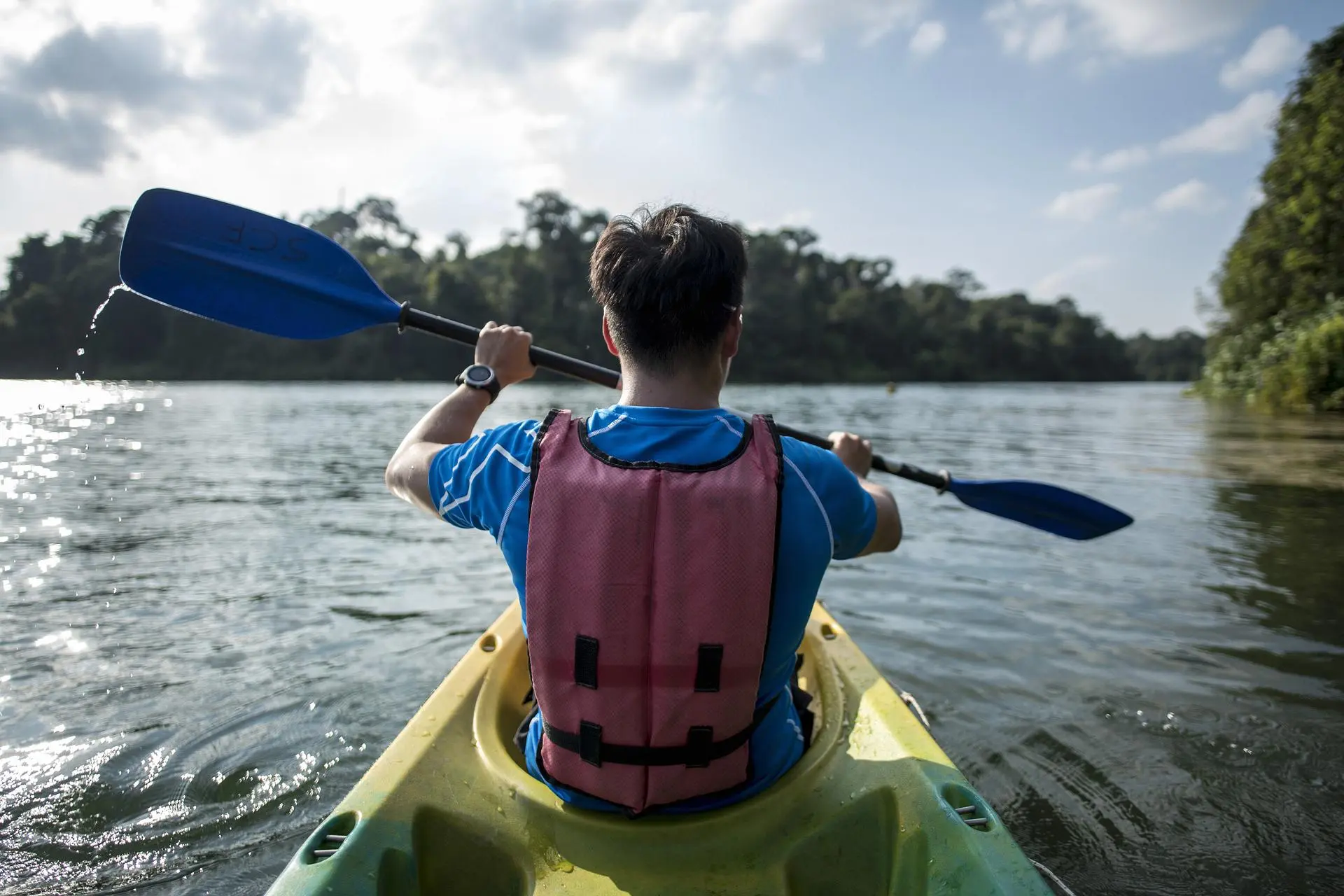 Kayak Water Person Blue Paddling, MacRitchie Reservoir | Singapore ...