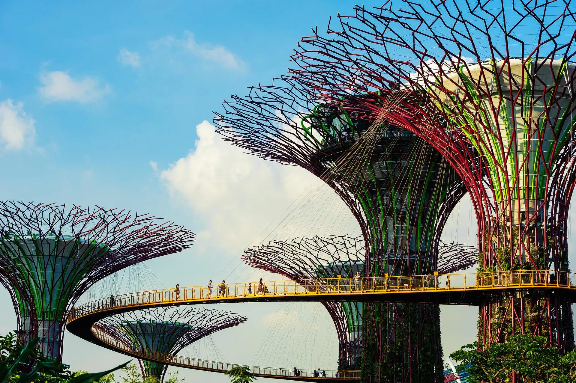 Elevated Walkways Linking Tree Structures, Supertree Grove | Singapore ...