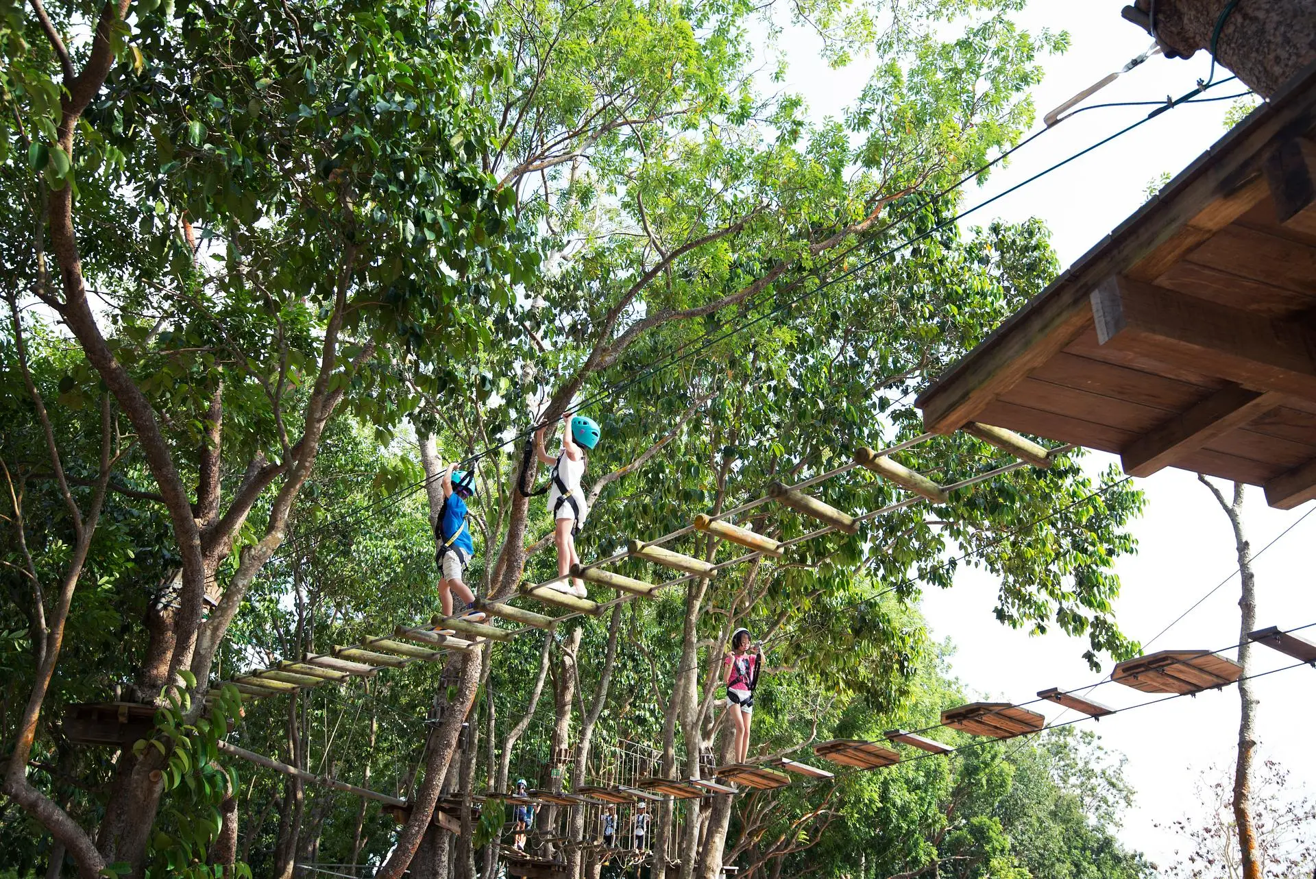 Treetop Course Rope Bridge Adventure, Forest Adventure Pte Ltd ...