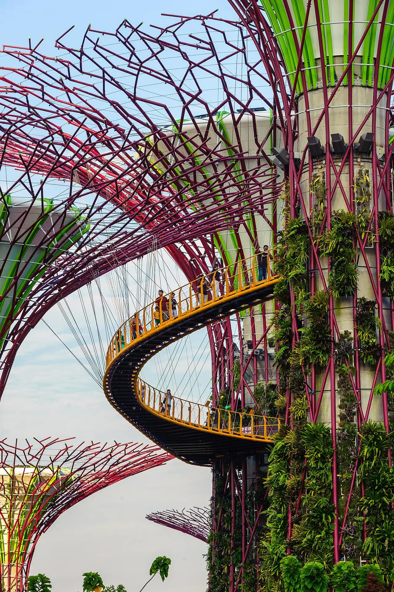 Elevated Pathway Lattice Structures Walkers, Supertree Grove ...