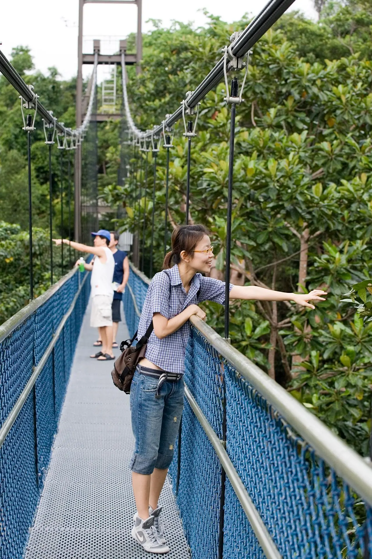 Bridge Woman Checks Shirt Trees, Macritchie Treetop Walk Trailhead ...